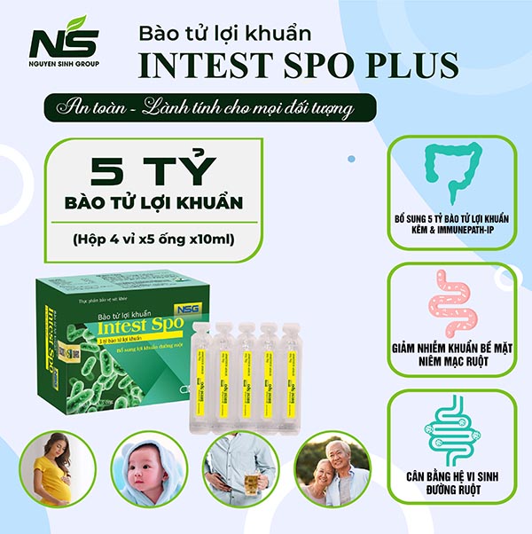 Bào Tử Lợi Khuẩn Intest Spo Plus - Droppii - Siêu Thị Mua Sắm Online ...